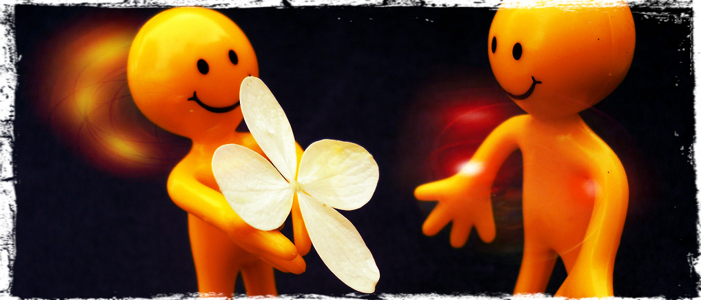 Finding A Passion and Purpose by Kim Trumbo – Kindness Blog